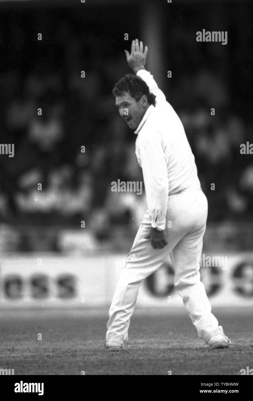 Australian cricket captain allan border hi-res stock photography and ...