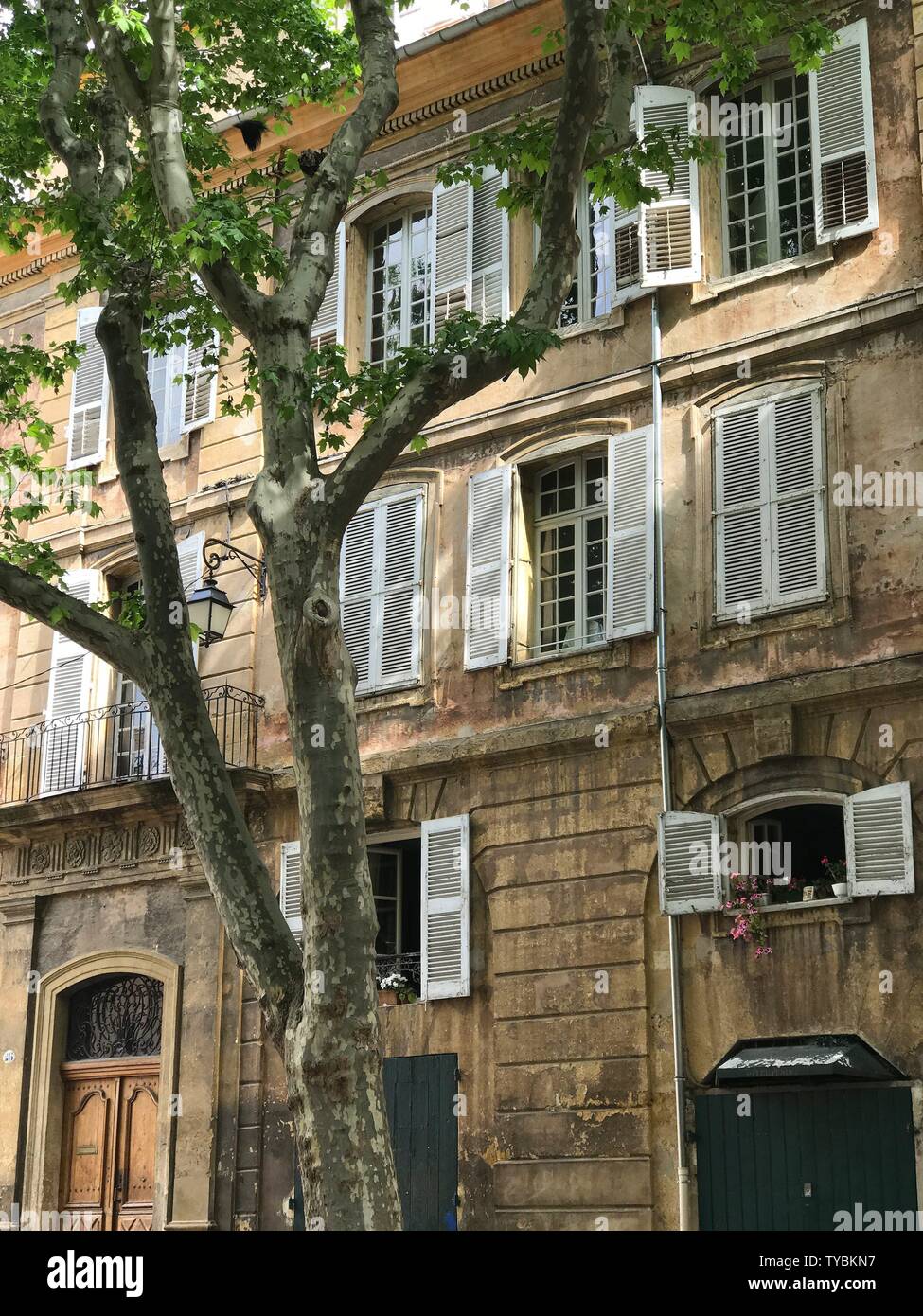 Typical facade in Aix en Provence with plane tree | usage worldwide Stock Photo - Alamy