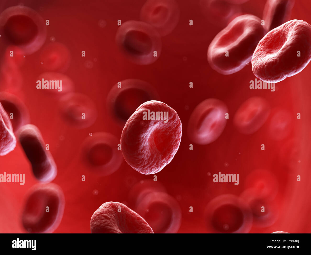 3d rendered illustration of human blood cells Stock Photo - Alamy