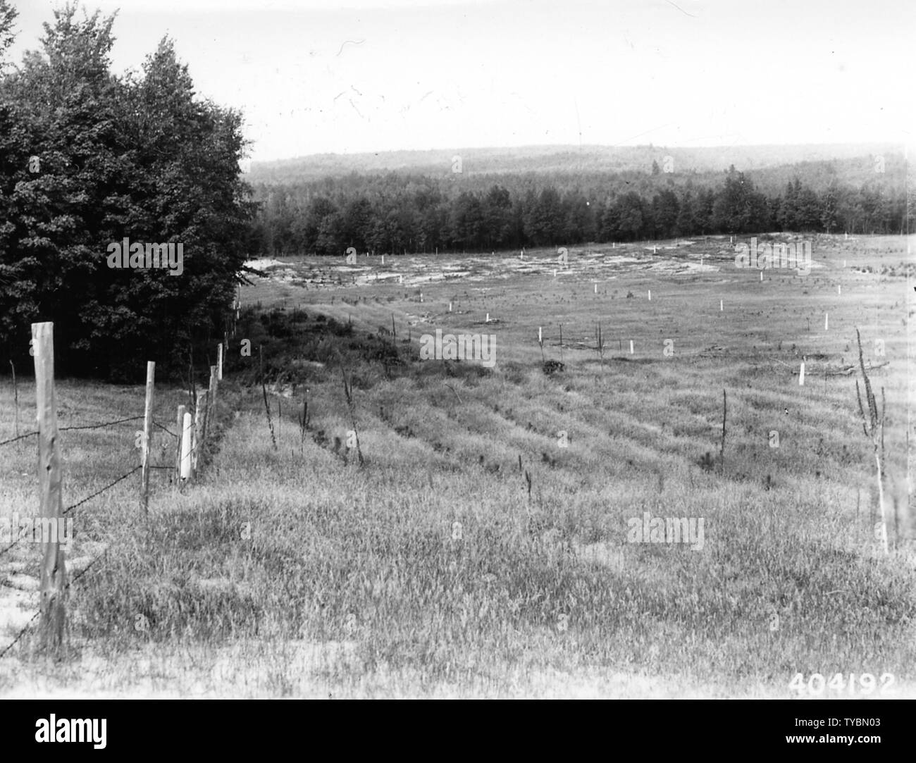 Photograph of Caberfae Block; Scope and content: Original caption ...