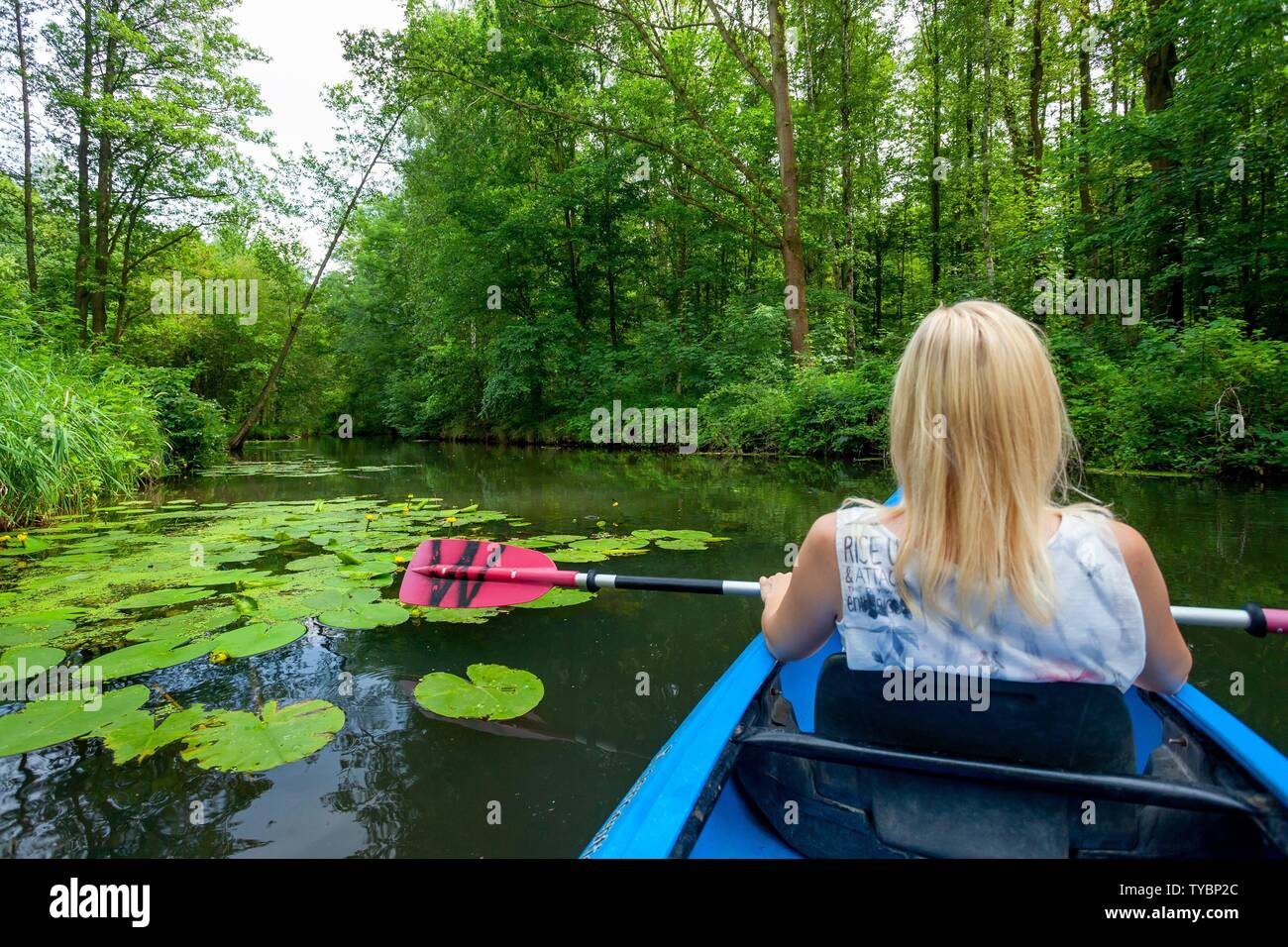 Canoeing in the Spreewald (Spree forest) near Burg (Brandenburg), 19 ...