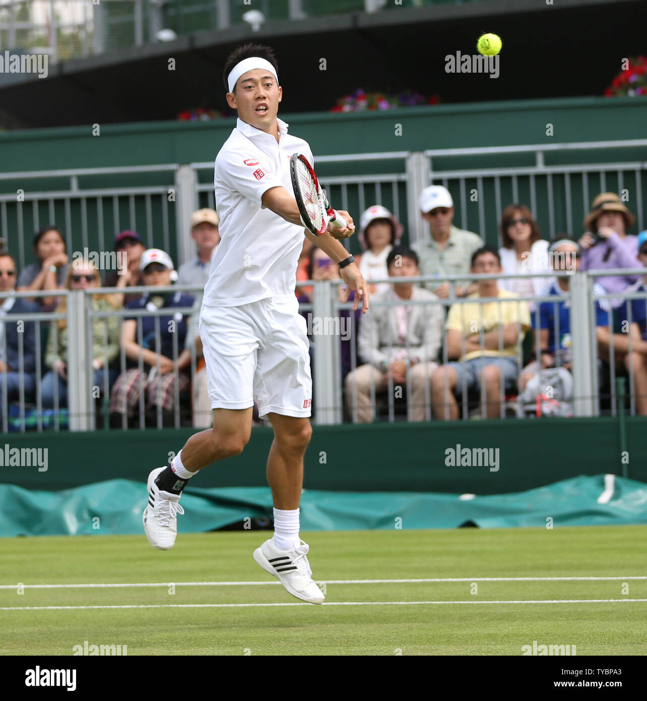 Kei nishikori in his match against frances kenny de schepper hi-res ...