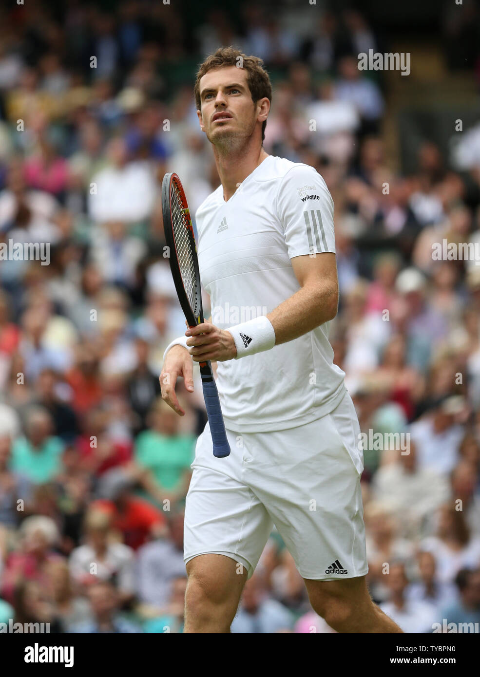 Hugo anderson hi-res stock photography and images - Alamy