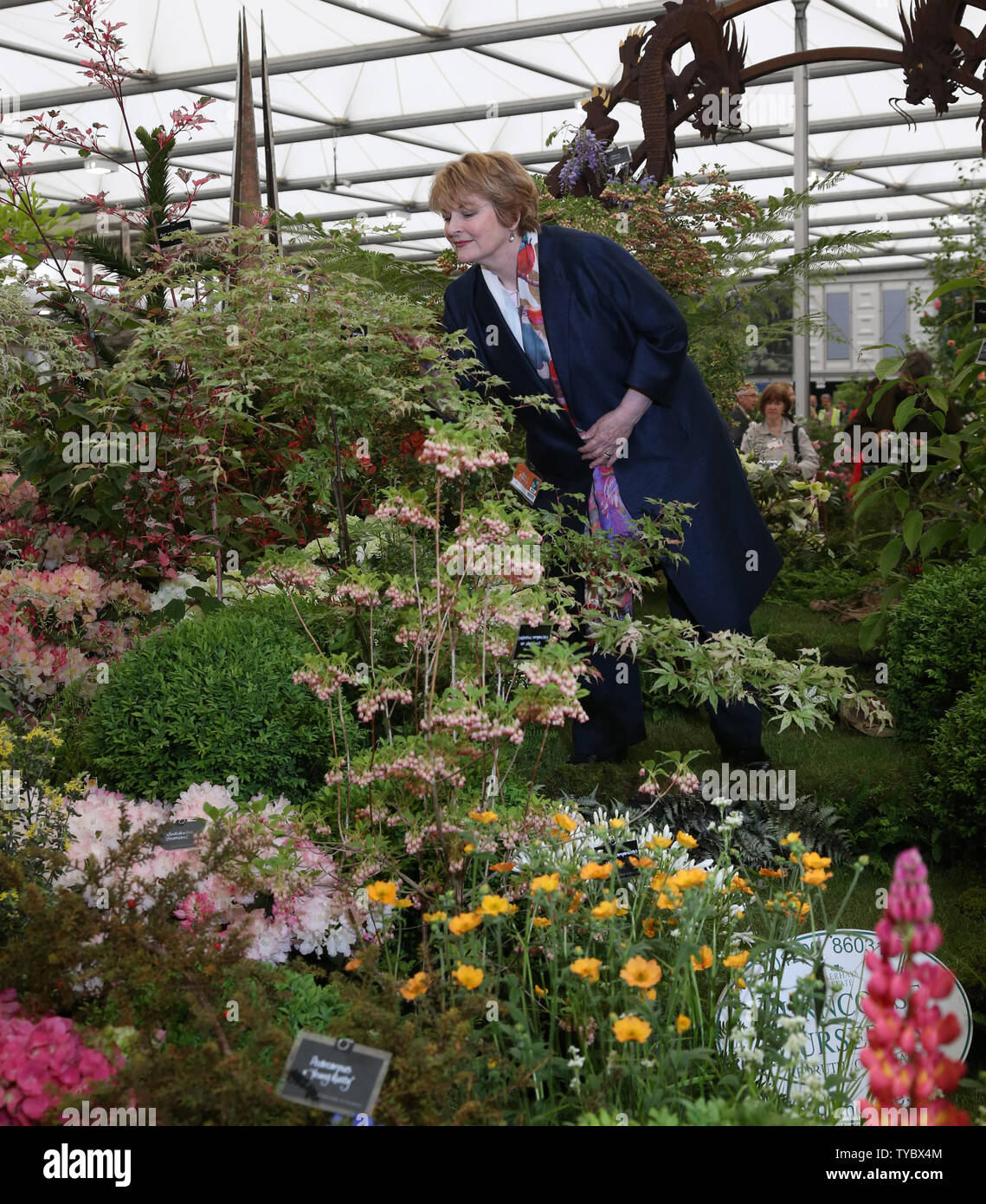 Brenda blethyn 2015 hi-res stock photography and images - Alamy