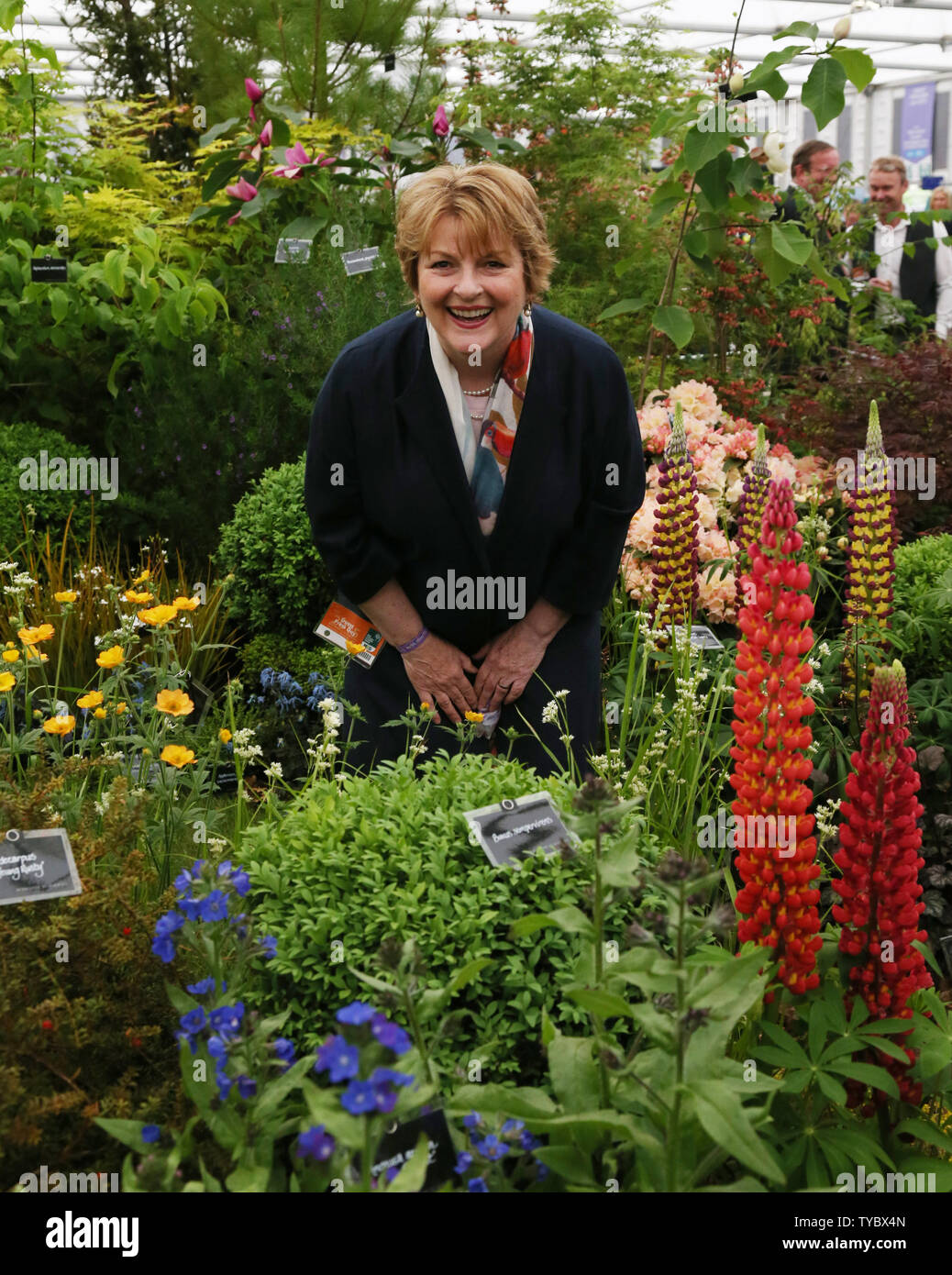 Brenda blethyn 2015 hi-res stock photography and images - Alamy
