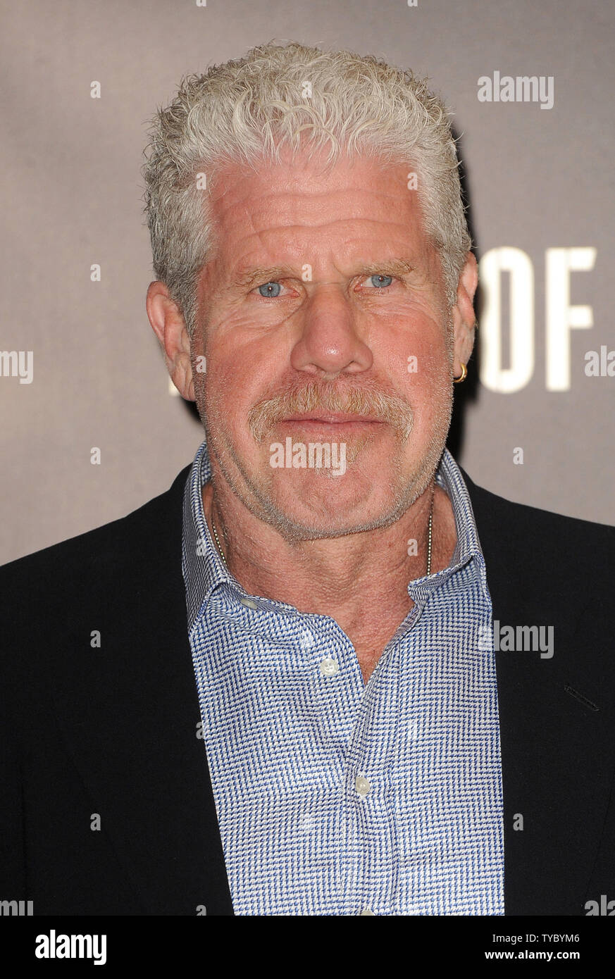 Philip Perlman Actor