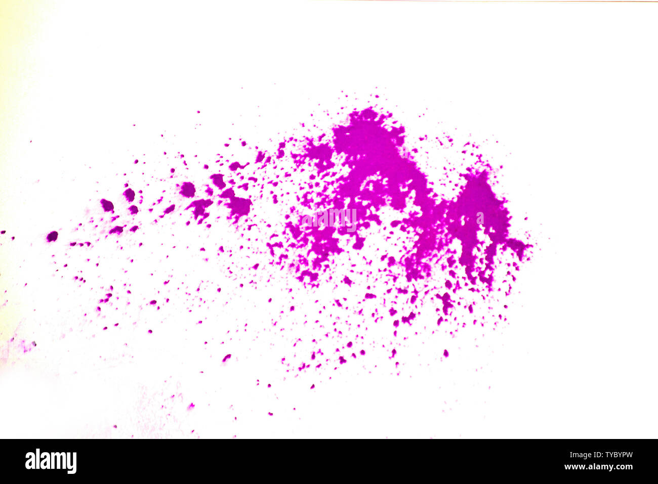 Purple color explosion on white background Stock Photo - Alamy