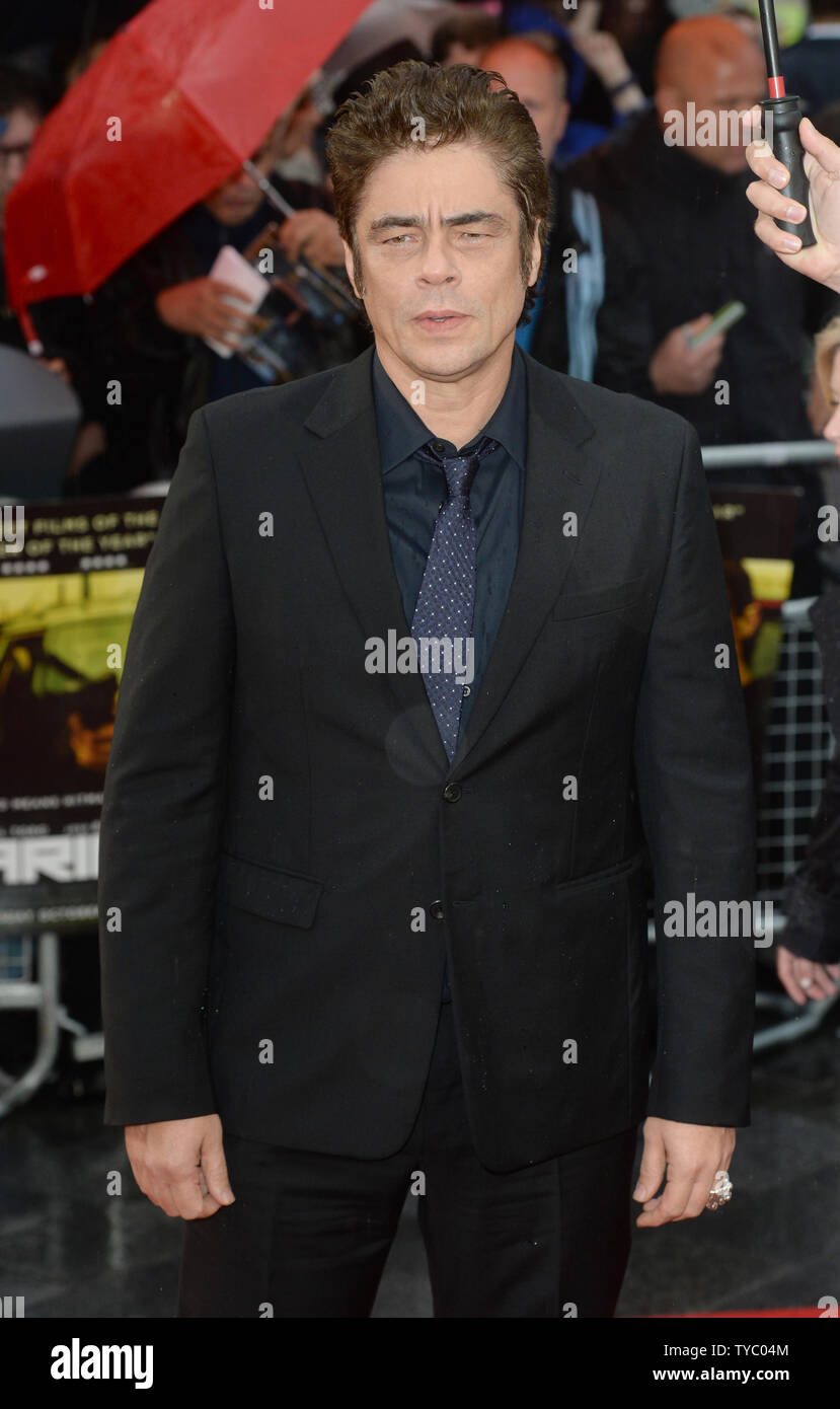 Puerto Rican actor Benicio del Toro attends the UK Premiere of 'Sicario ...