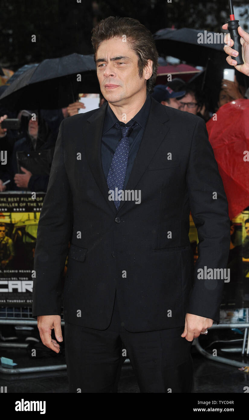 Puerto Rican actor Benicio del Toro attends the UK Premiere of 'Sicario ...