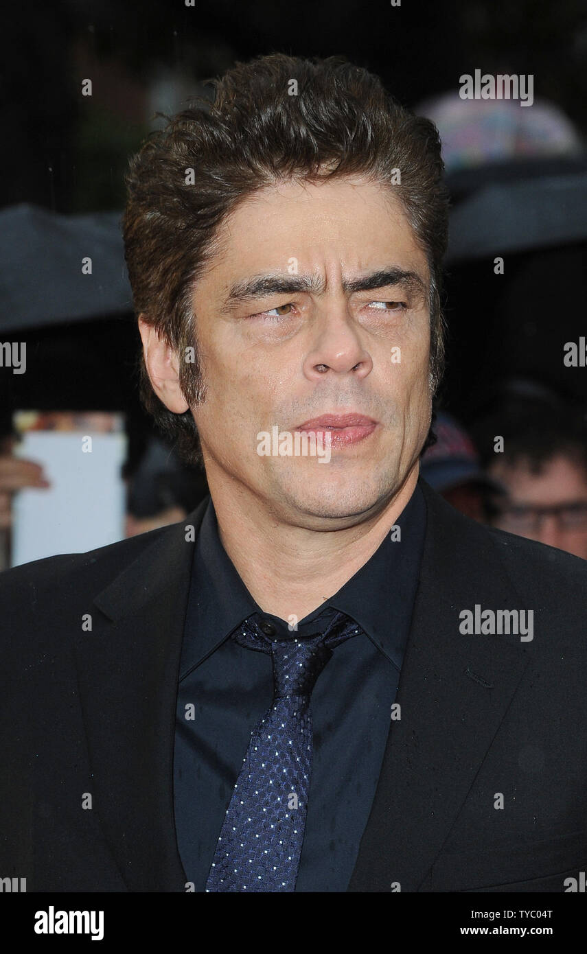 Puerto Rican actor Benicio del Toro attends the UK Premiere of 'Sicario ...