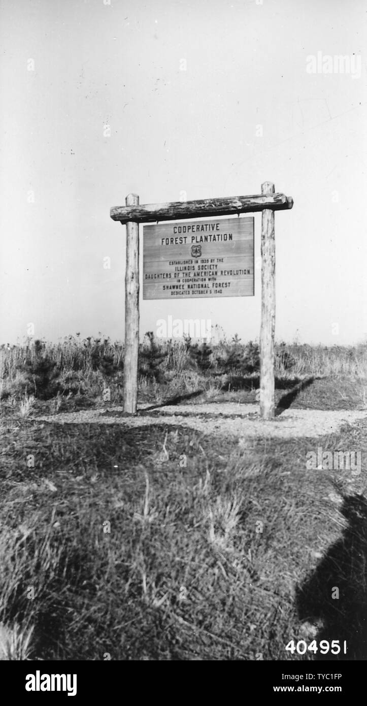 Photograph of Daughters of the American Revolution (DAR) Memorial ...