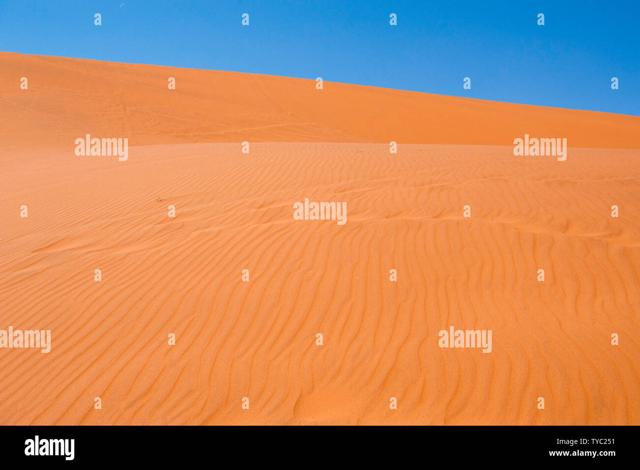 The red sand dunes at Namib-Naukluft National Park, Namibia.. The red ...