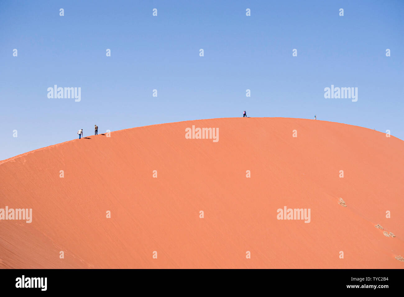 The red sand dunes at Namib-Naukluft National Park, Namibia.. The red ...
