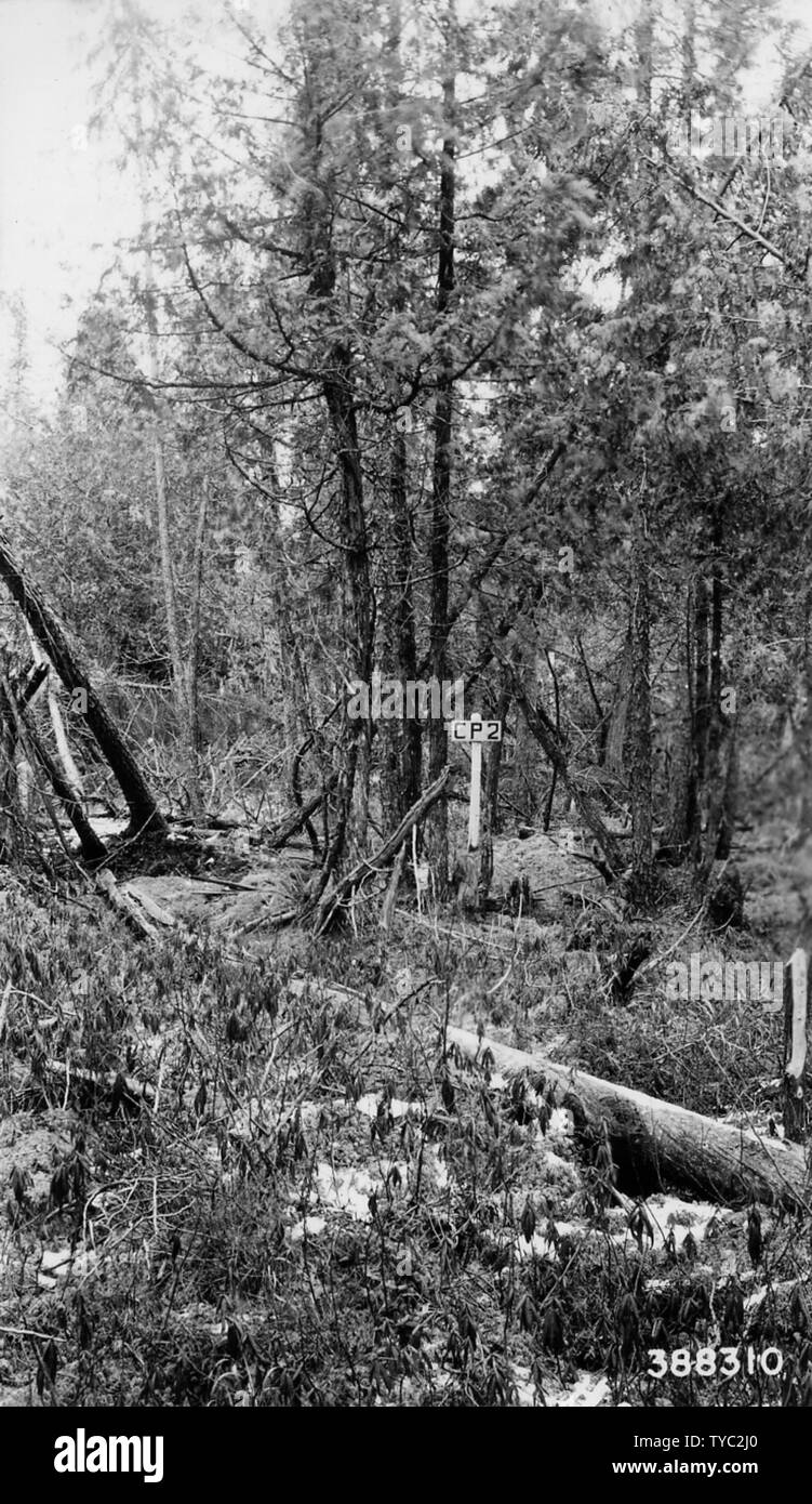 Photograph of Deer Browse Study Plot; Scope and content: Original ...