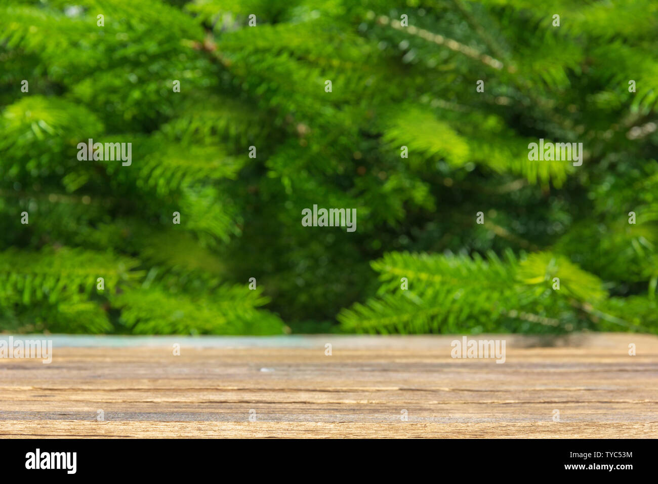 Empty wooden table on a background of green trees, a space with the ...