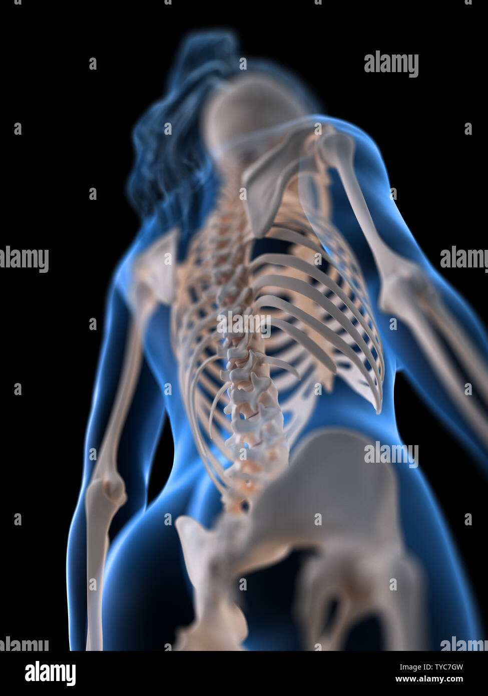 Back spine female illustration hi-res stock photography and images - Alamy