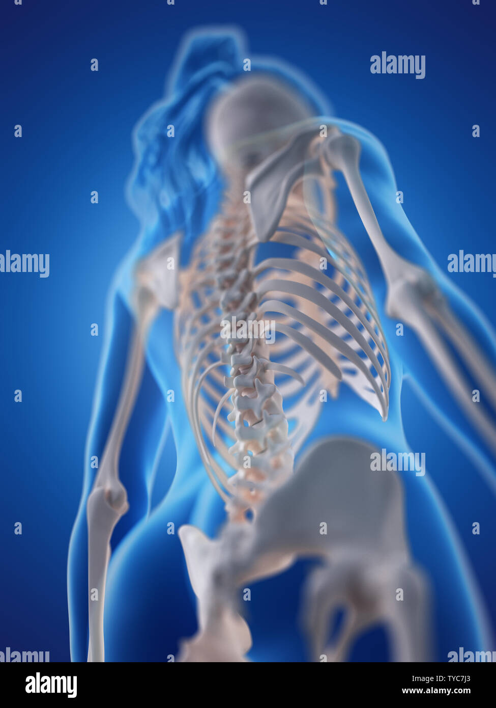 Back spine female illustration hi-res stock photography and images - Alamy