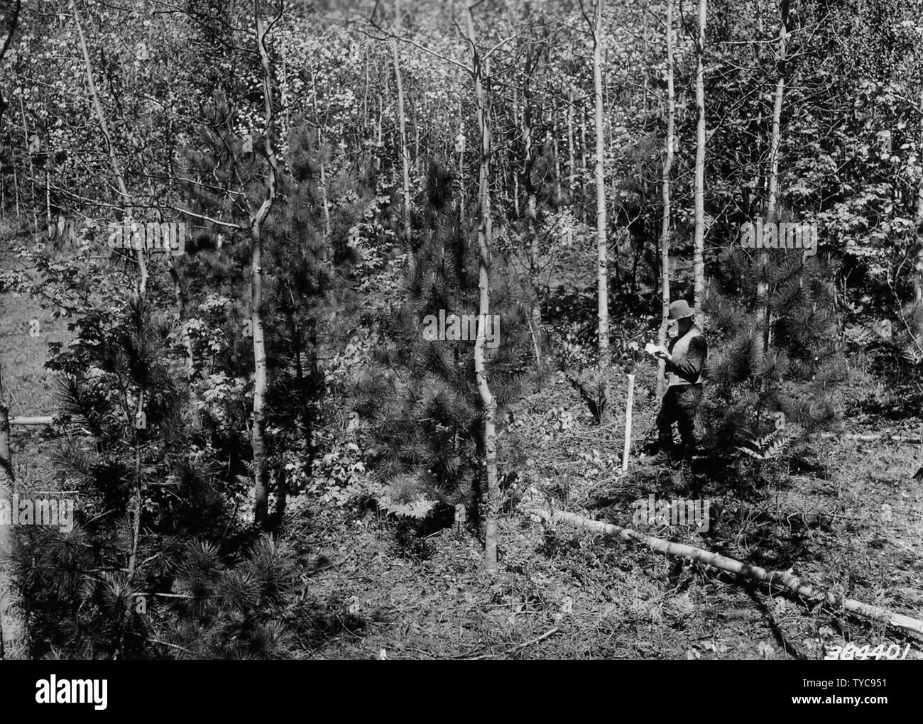 Photograph of Forest Officer Roger White; Scope and content: Original ...