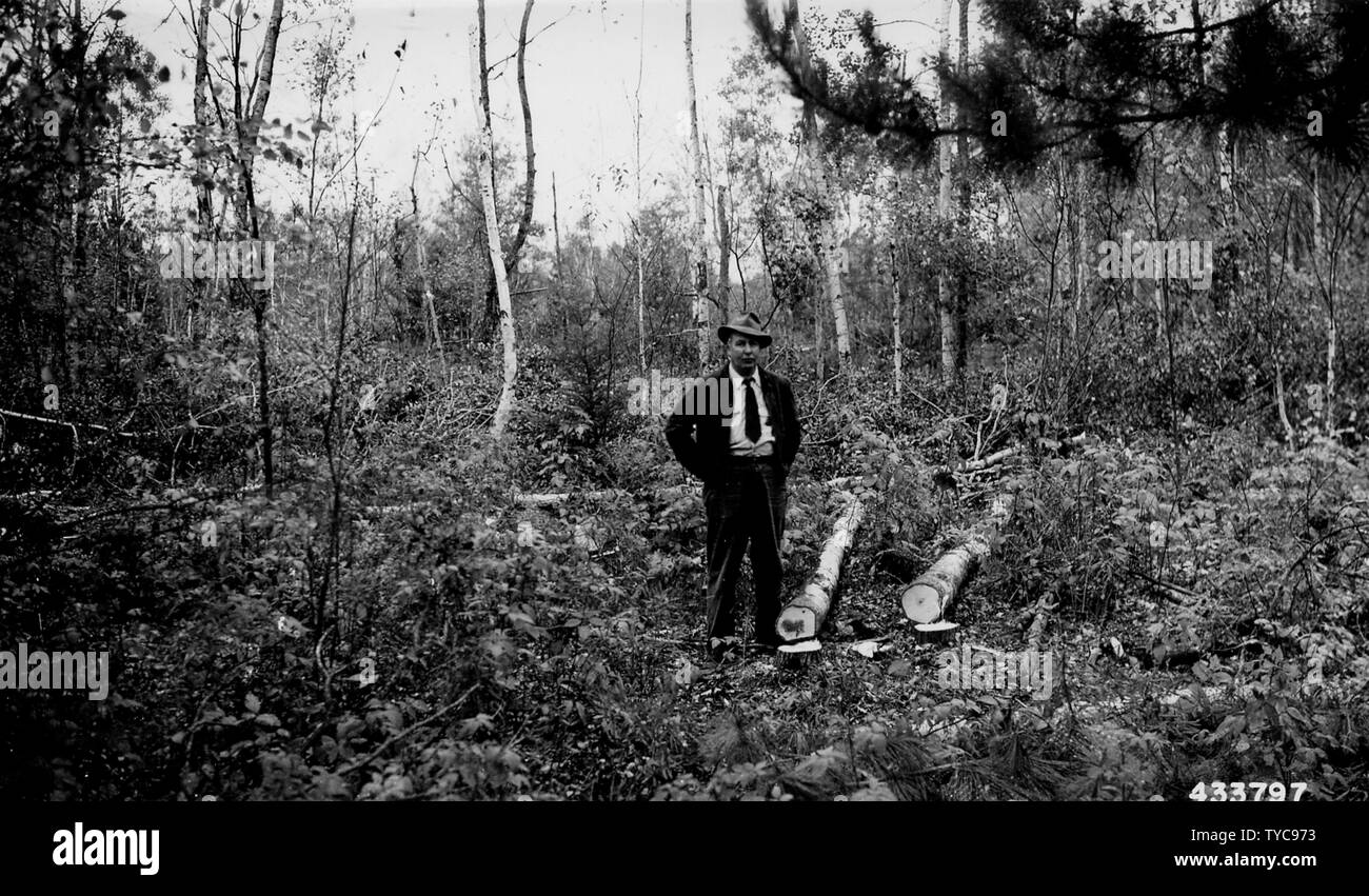 Photograph of Forest Ranger Ferris Green at Aspen Sale on Lakewood ...