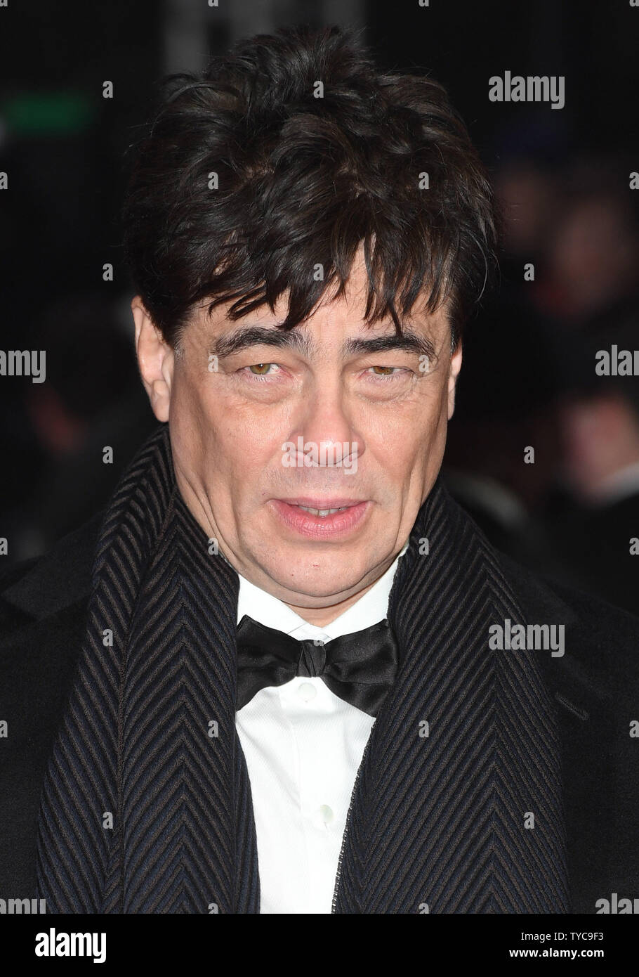American actor benicio del toro hi-res stock photography and images - Alamy