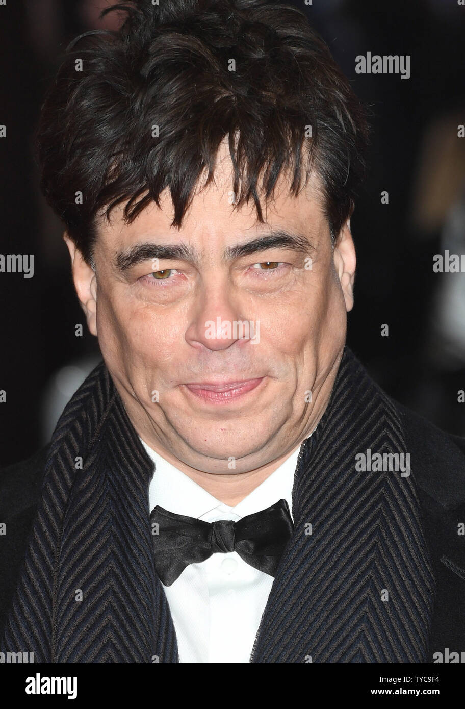 American actor benicio del toro hi-res stock photography and images - Alamy