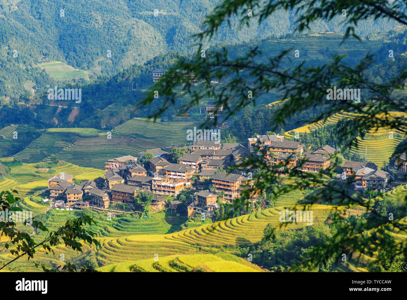 Guilin Dragon Ridge terrace scenery Stock Photo - Alamy