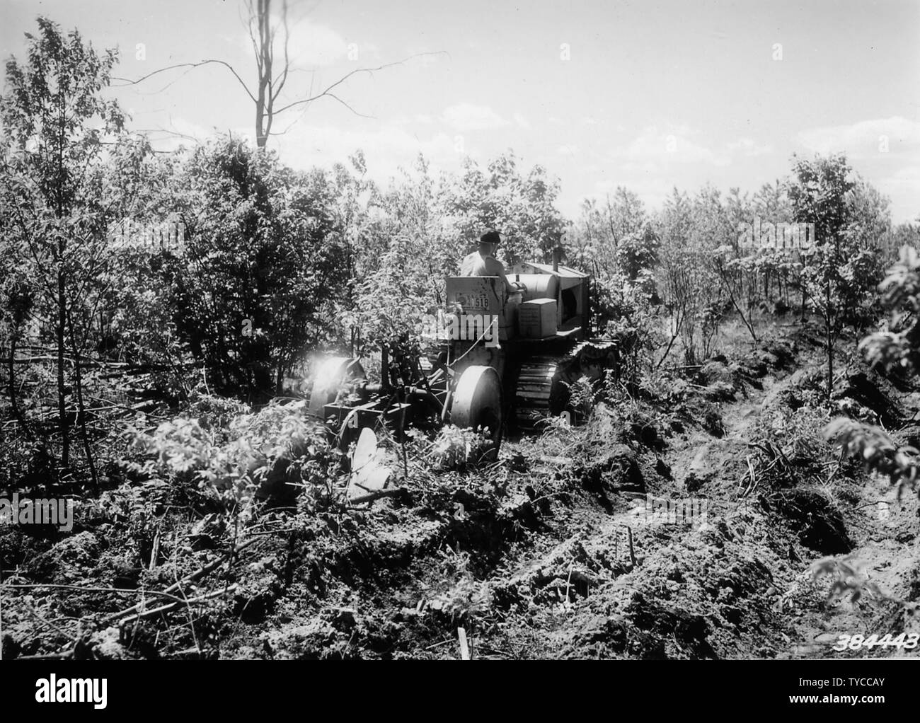 Photograph of Ground Preparation for Planting; Scope and content ...