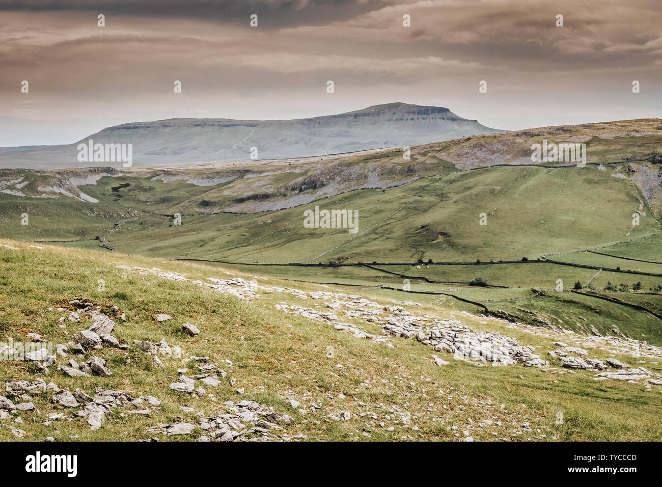 Hikking in Austwick near to Settle in the Yorkshire Dales Stock Photo ...