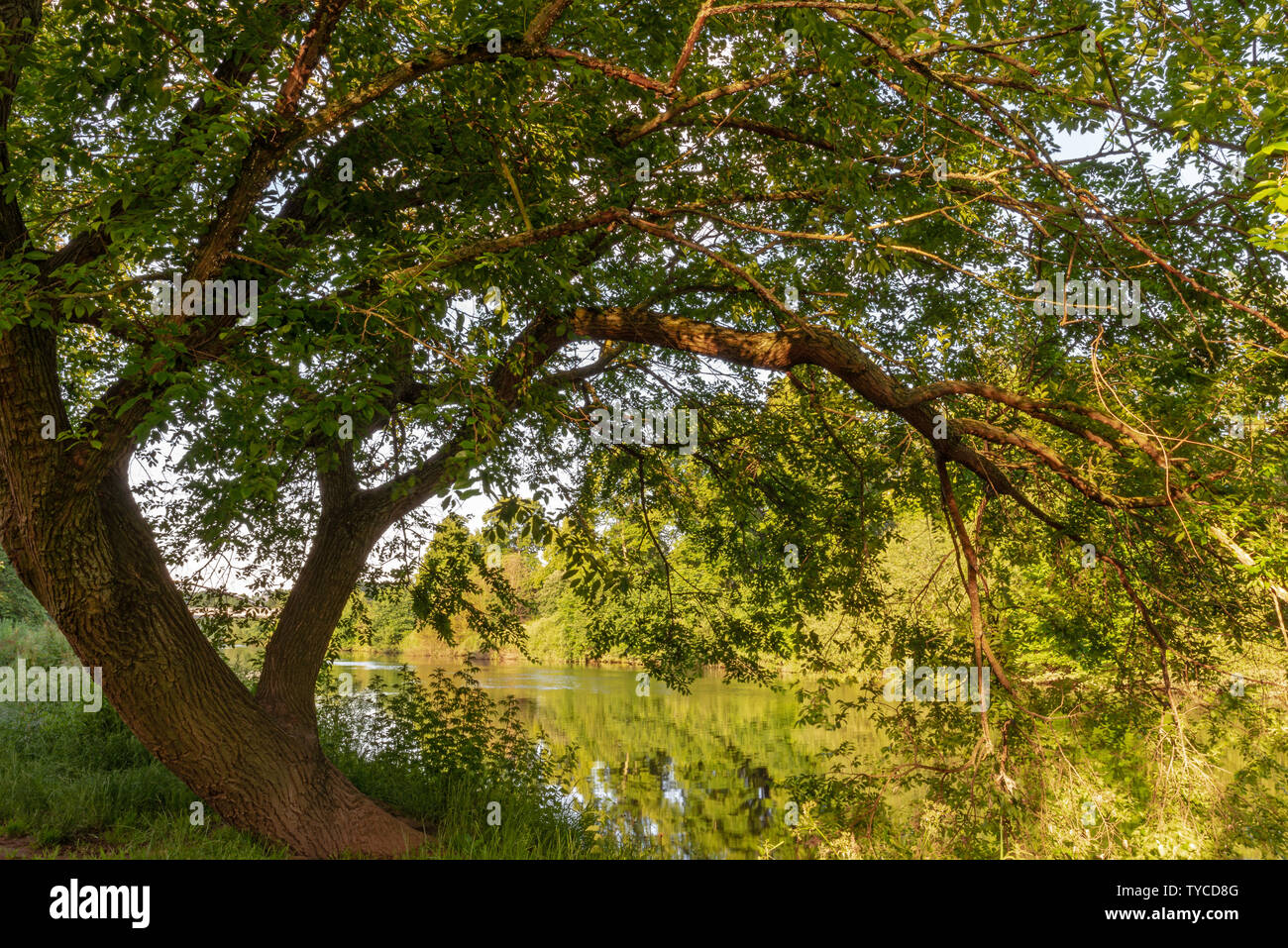 Overhang overhangs overhanging hi-res stock photography and images - Alamy