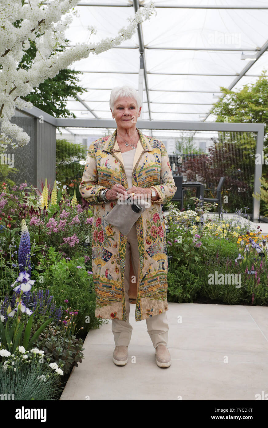 Actress Dame Judi Dench poses for the cameras at the Chelsea Flower ...
