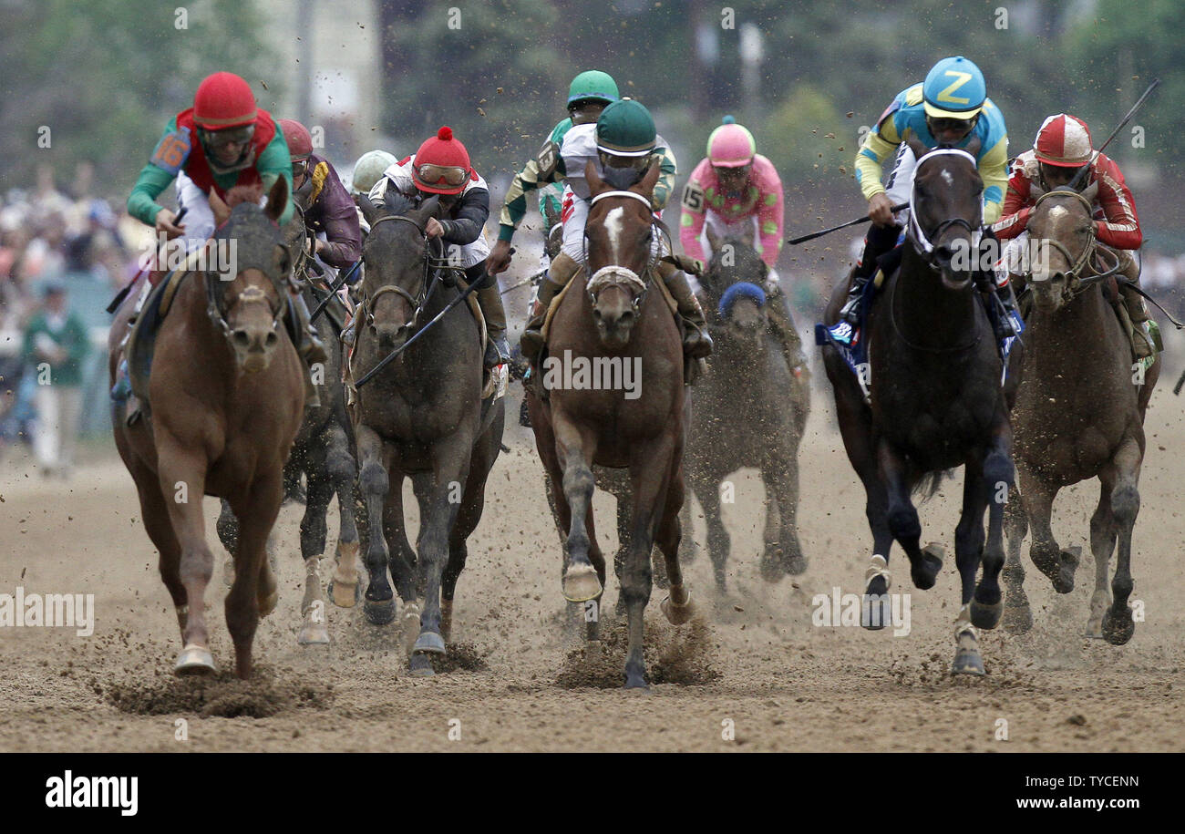 Animal Kingdom, with John R. Velazquez (L) leads the pack toward the ...