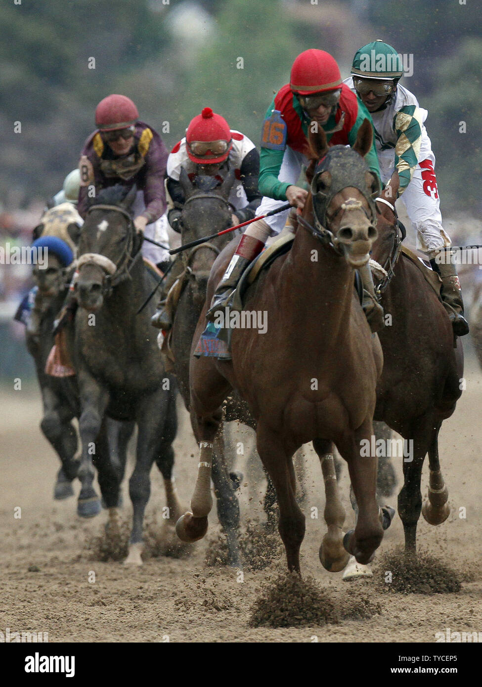 Animal Kingdom, with John R. Velazquez up, leads the pack across the ...