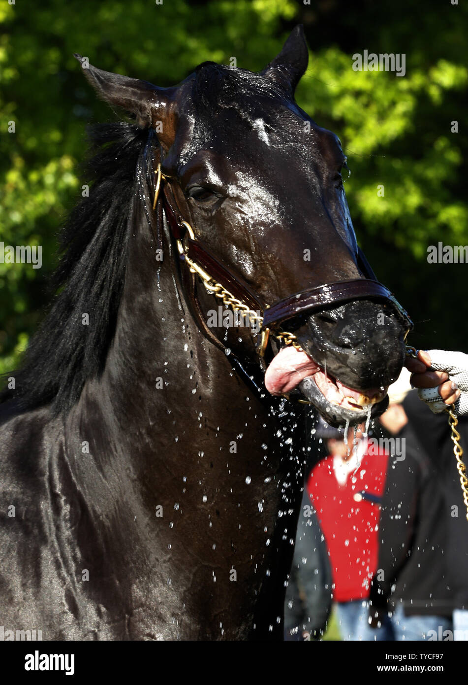 John dance racing hi-res stock photography and images - Alamy