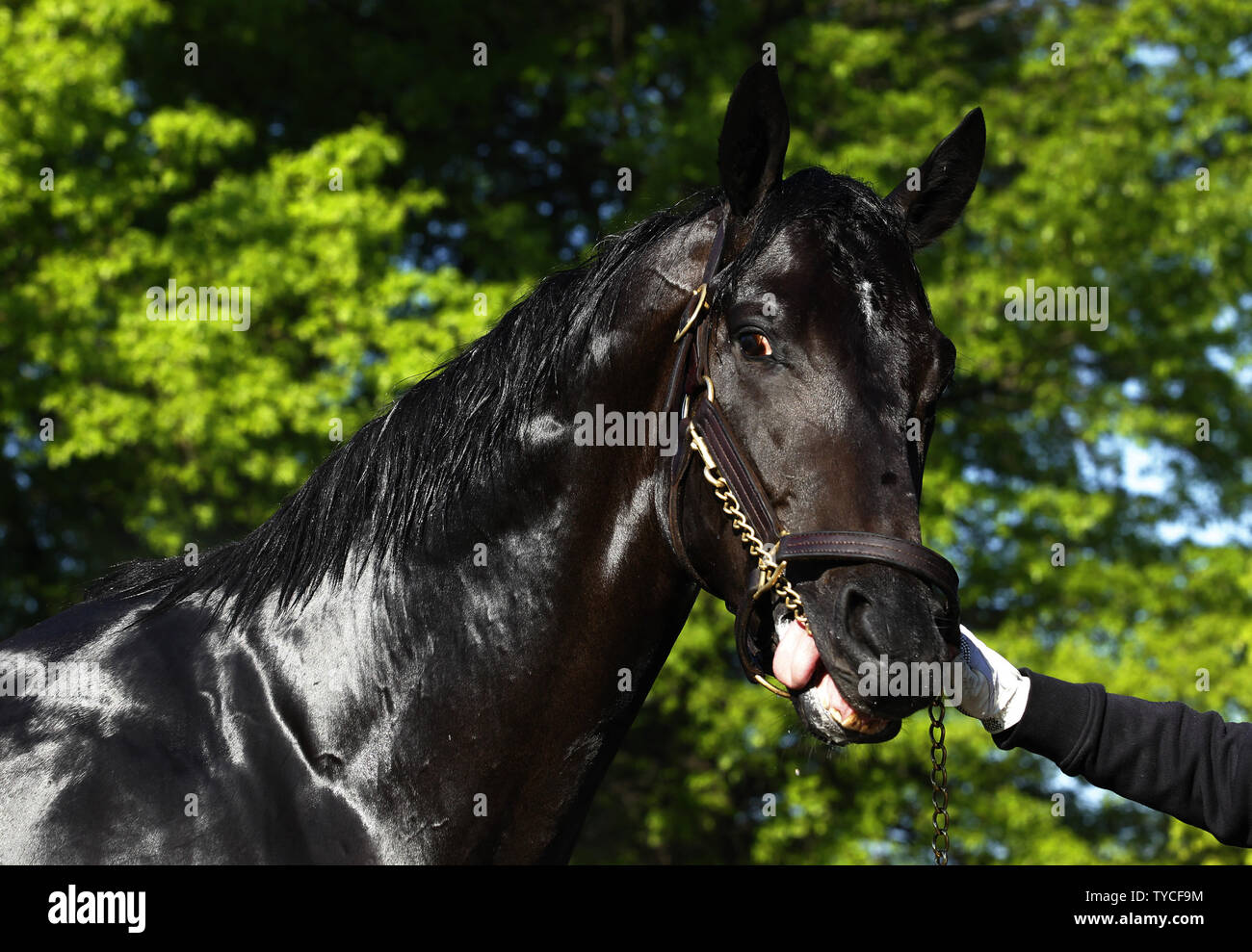 John dance racing hi-res stock photography and images - Alamy