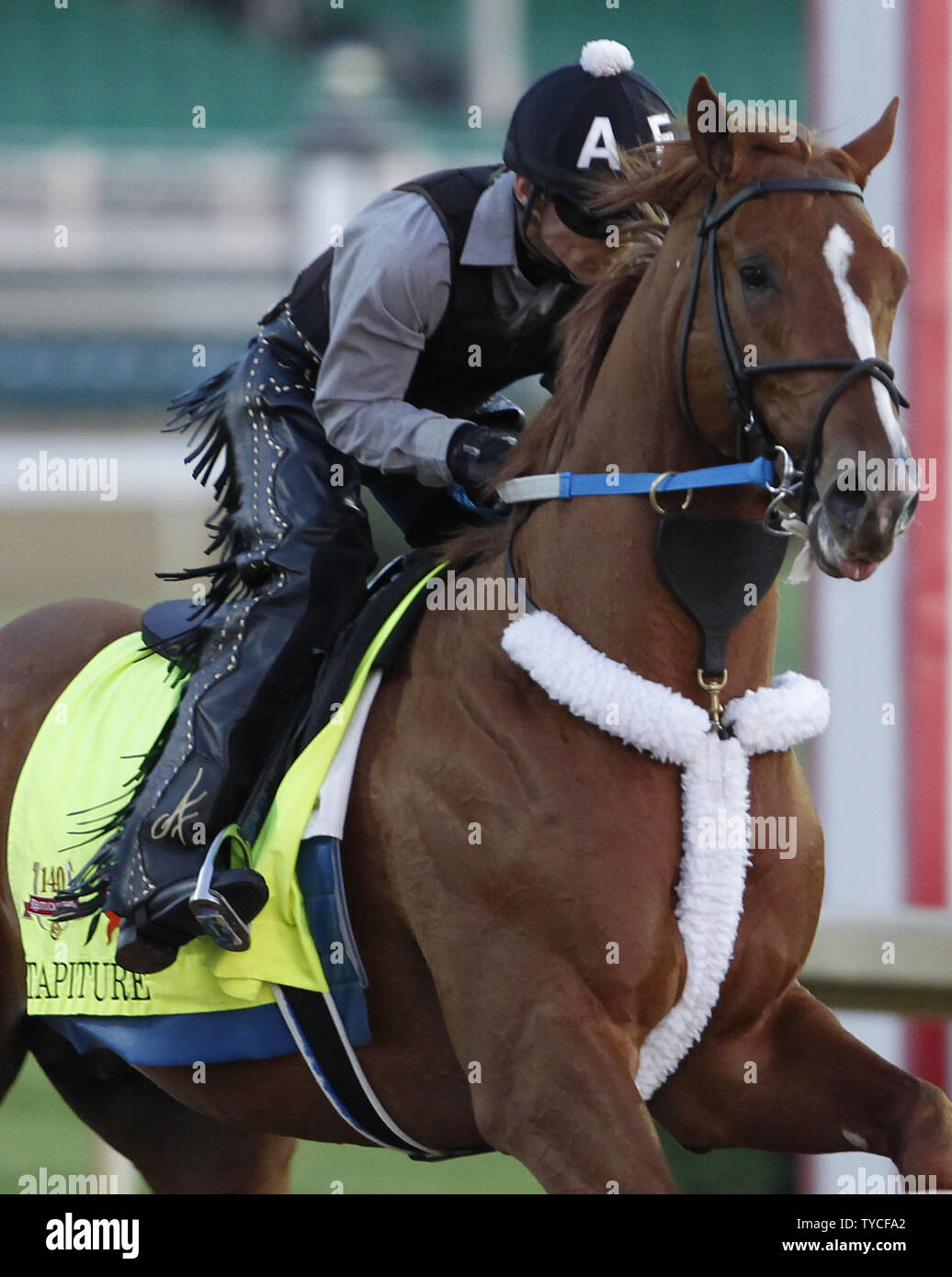 Tapiture Most Popular Photos