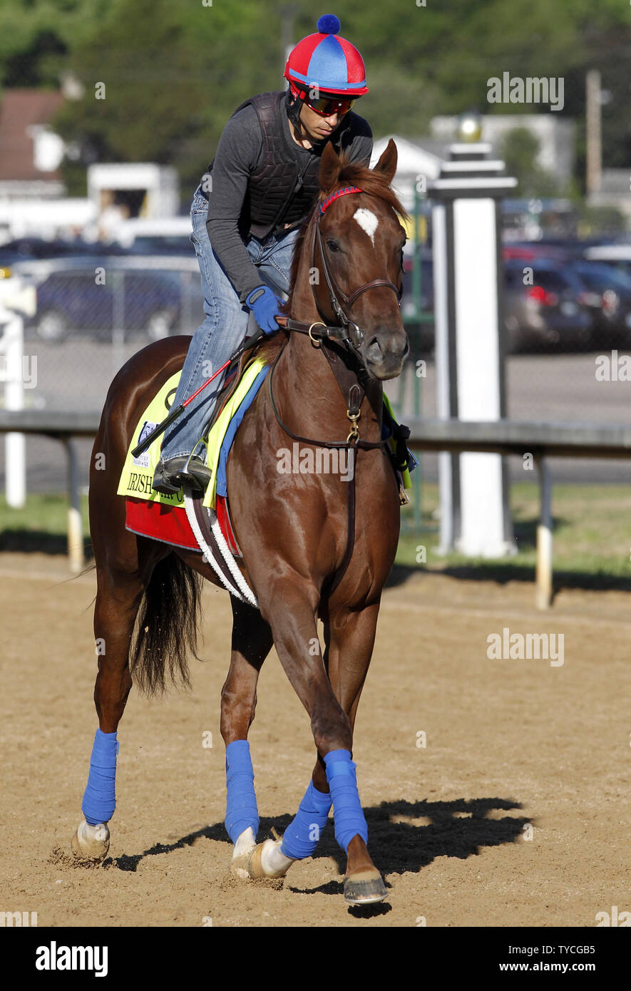 Kentucky Derby hopeful Irish War Cry walks on the track during morning ...