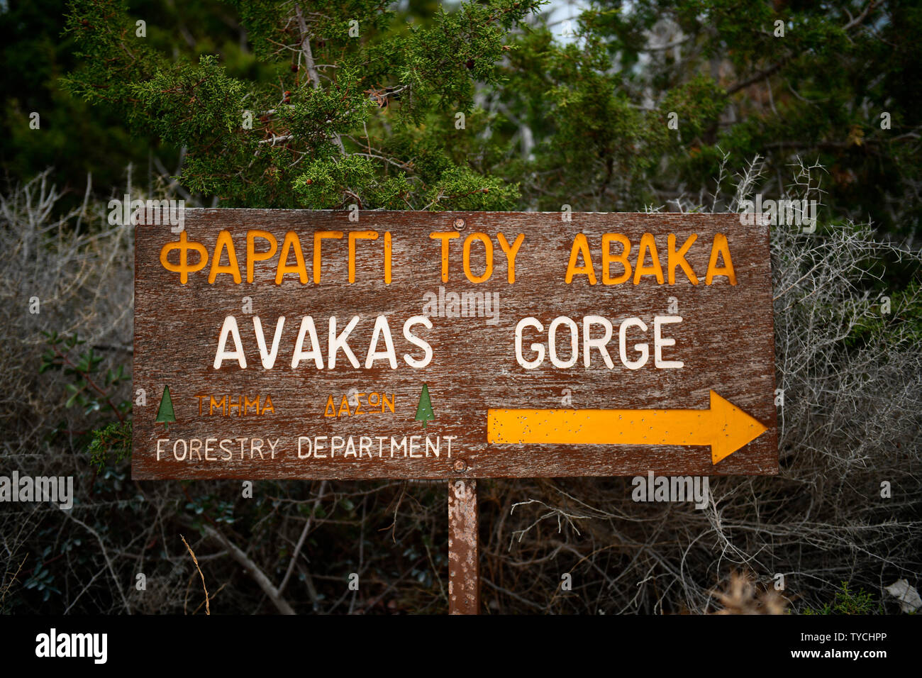 Akamas nature reserve hi-res stock photography and images - Alamy