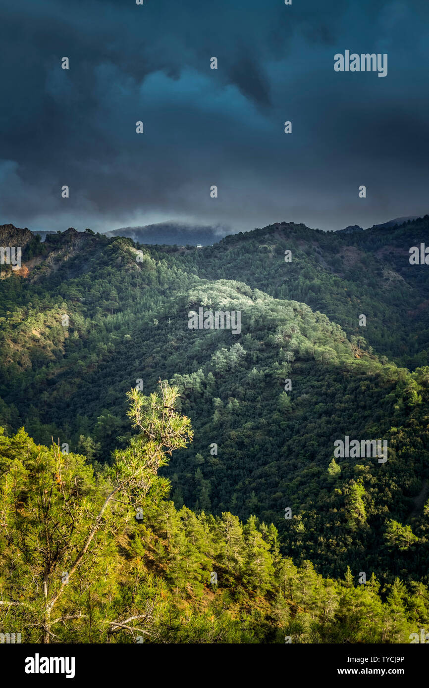 Paphos forest hi-res stock photography and images - Alamy