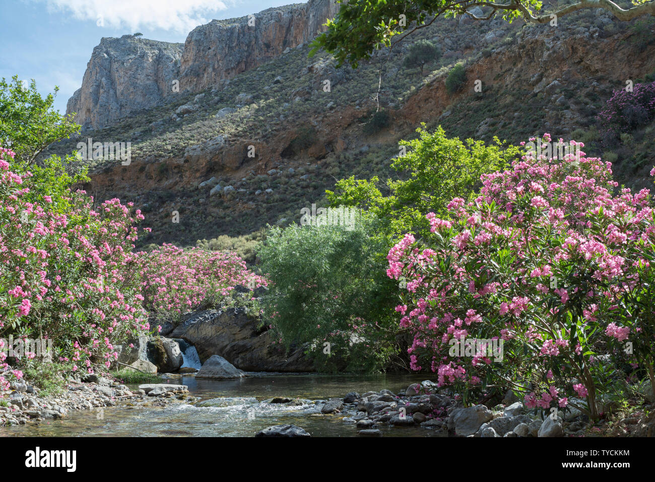 Kourtaliotis creek, Kourtaliotiko gorge, Megalopotamos, Finikas ...