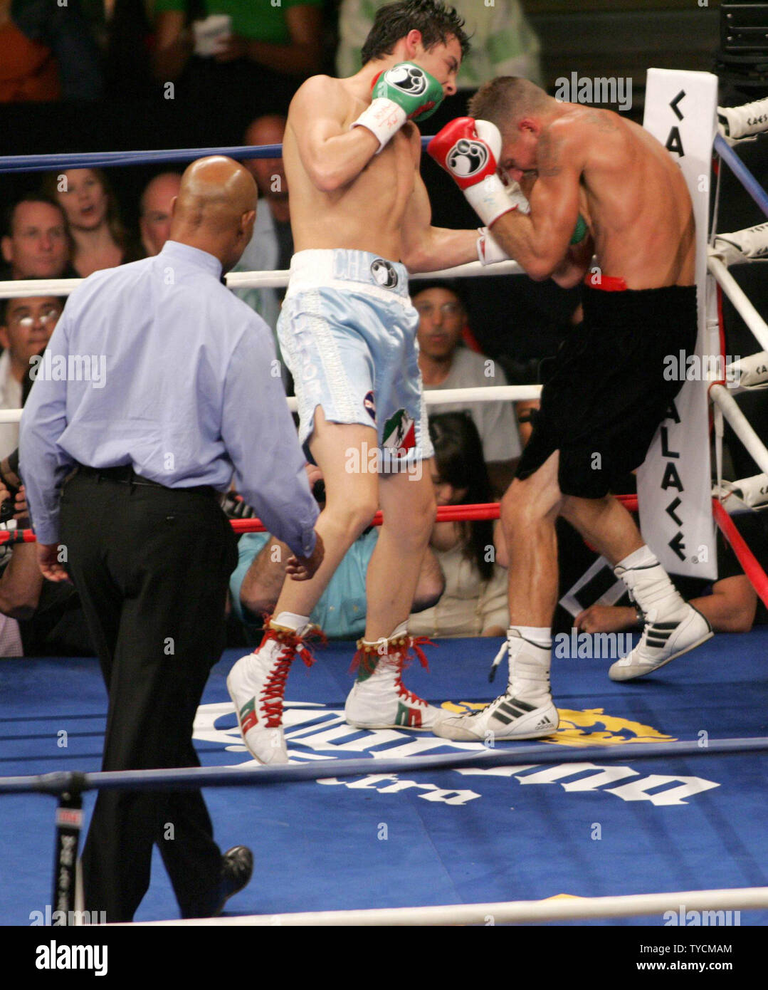 Referee Richard Steele watches closely as Julio Caesar Chavez Jr.of ...