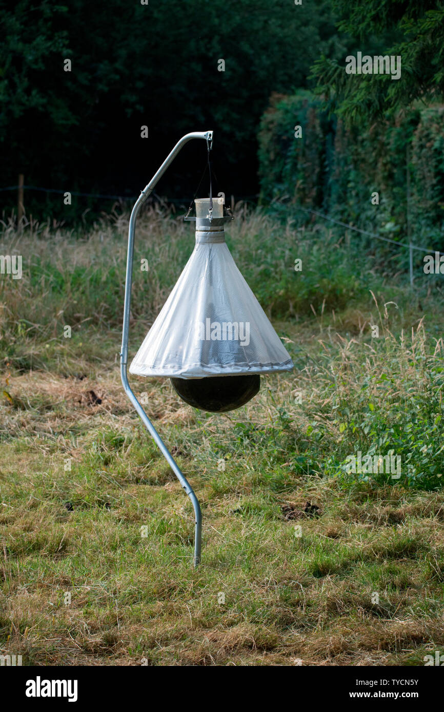 insect trap on horse pasture, Germany, Europe Stock Photo - Alamy