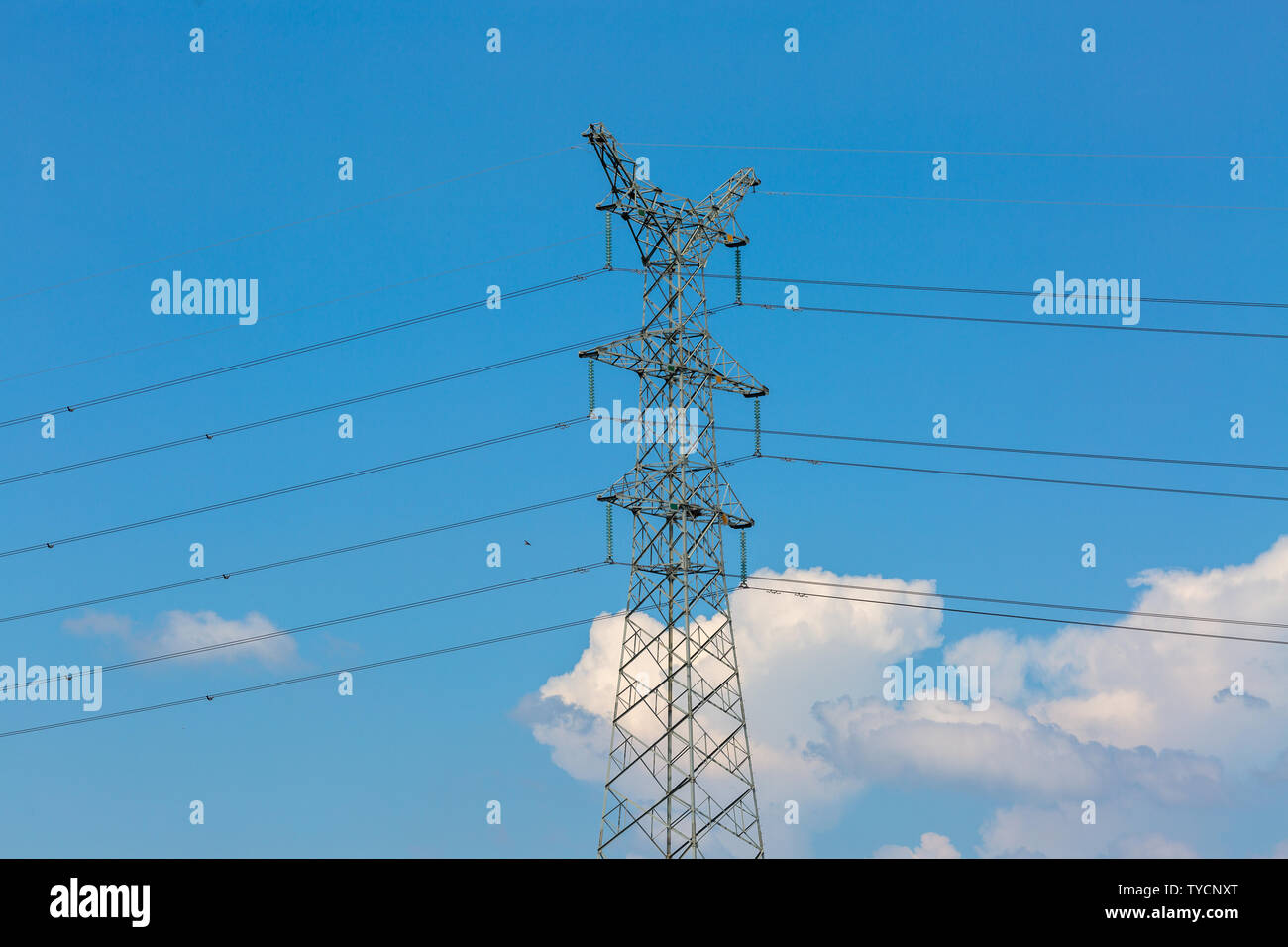 Wire grids hi-res stock photography and images - Alamy