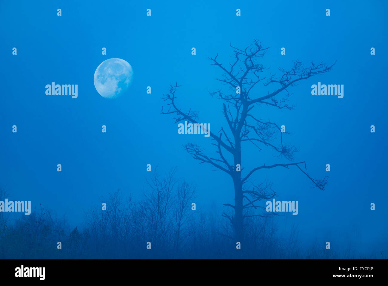 Moonrise night nighttime hi-res stock photography and images - Alamy