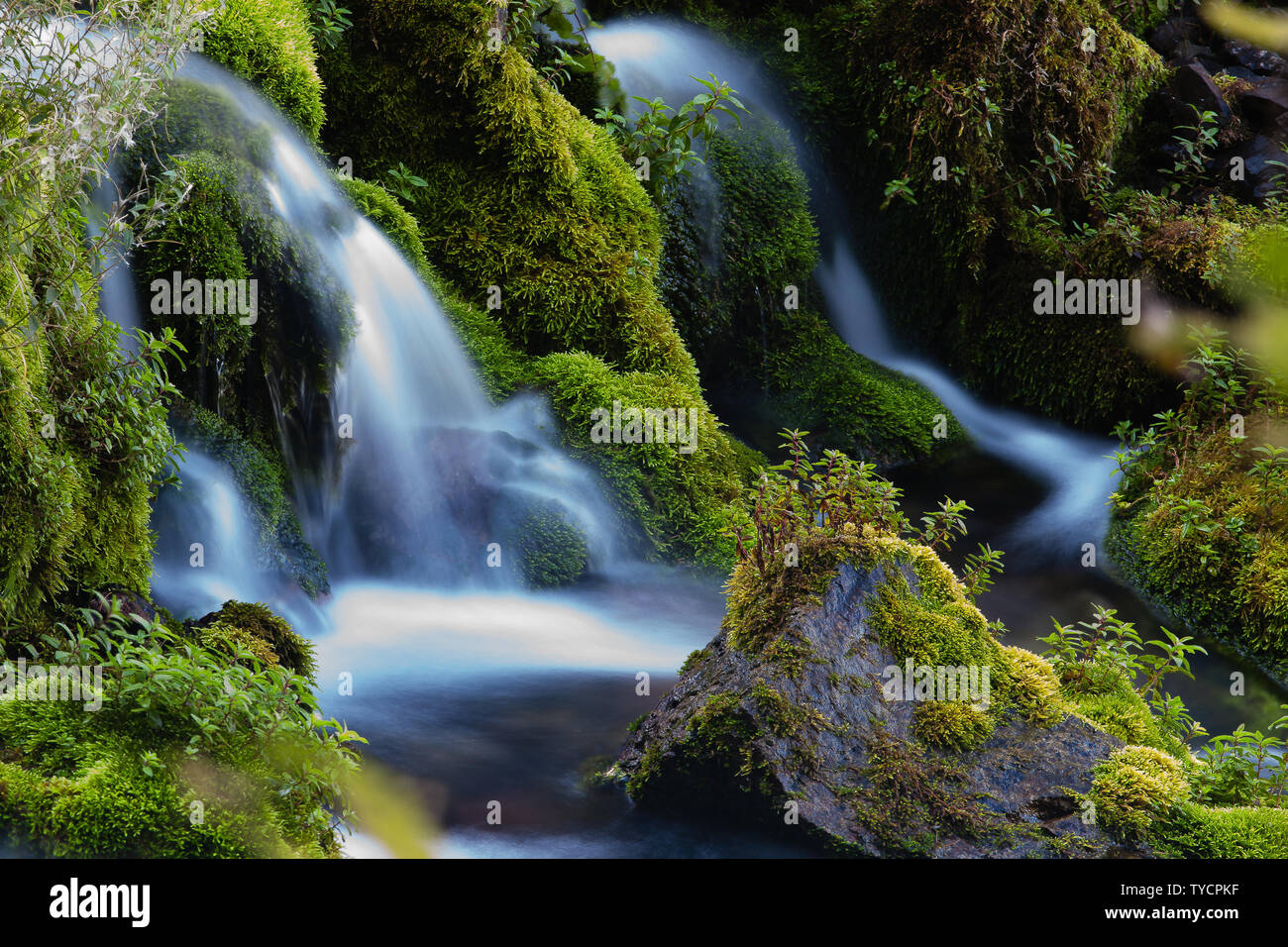 Small tianchi hi-res stock photography and images - Alamy