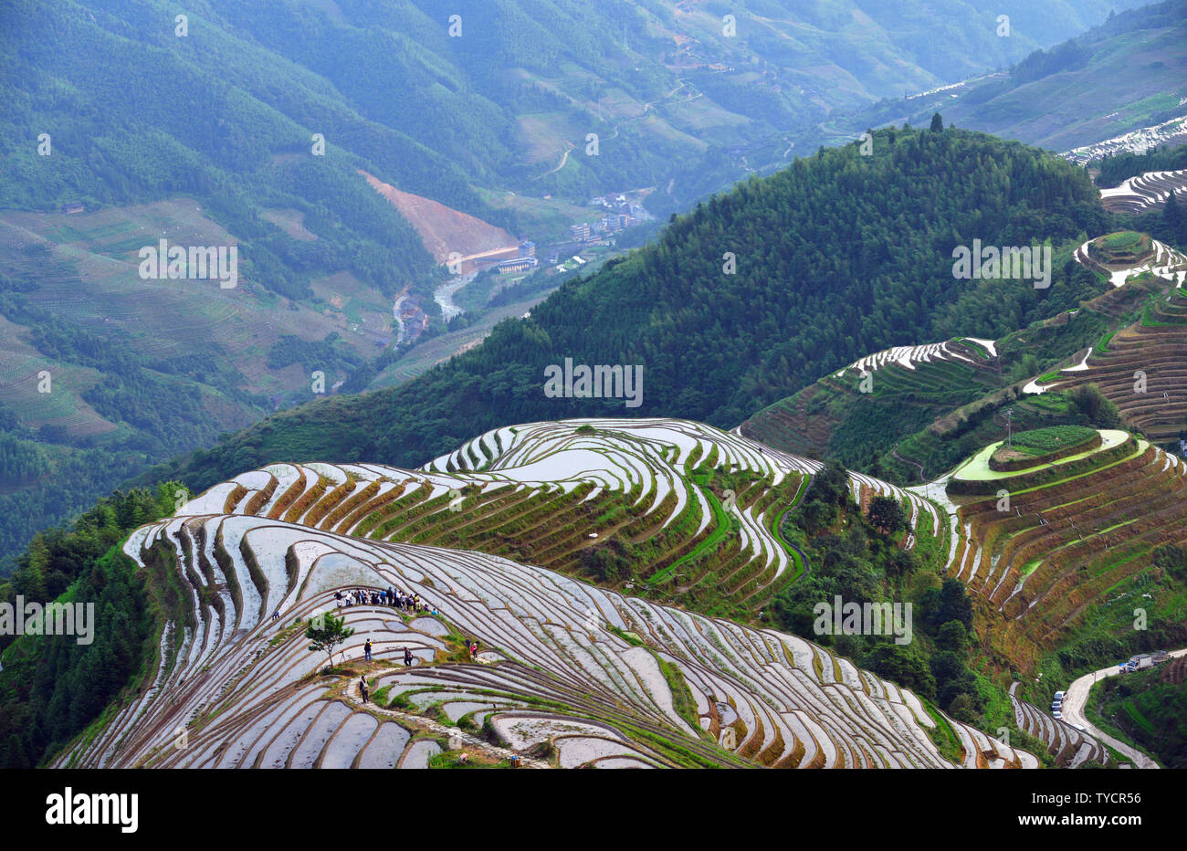 Longji tourism hi-res stock photography and images - Alamy