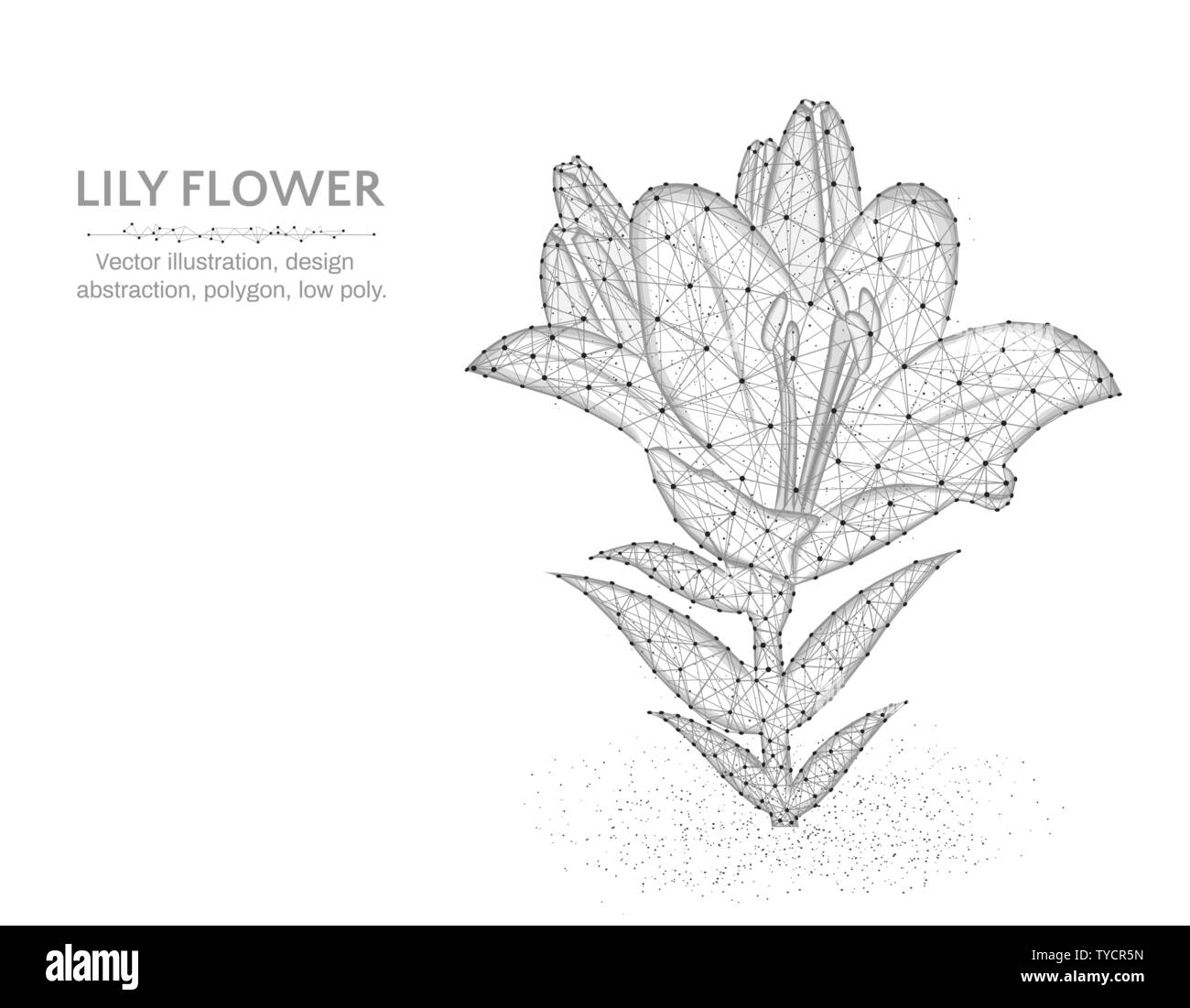 Lily flower low poly design, blossom in polygonal style, plant wire ...