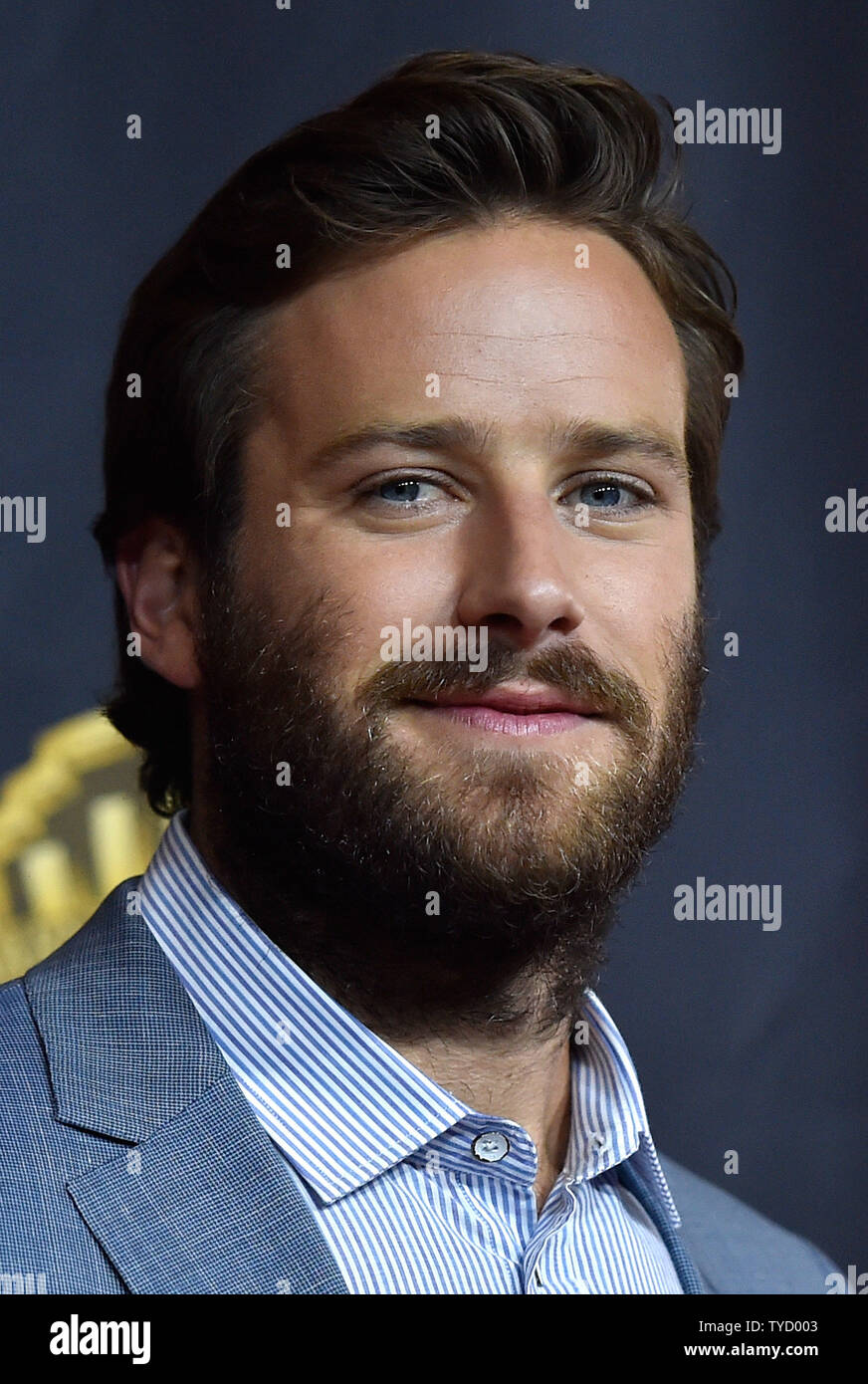 Actor Armie Hammer attends Warner Bros. Pictures' The Big Picture, an ...