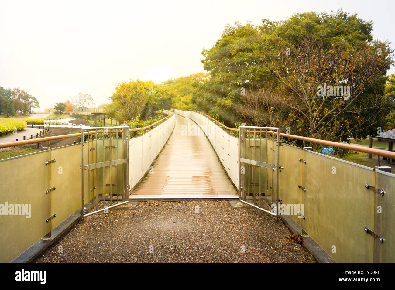 Narrow walkway after rain Stock Photo - Alamy