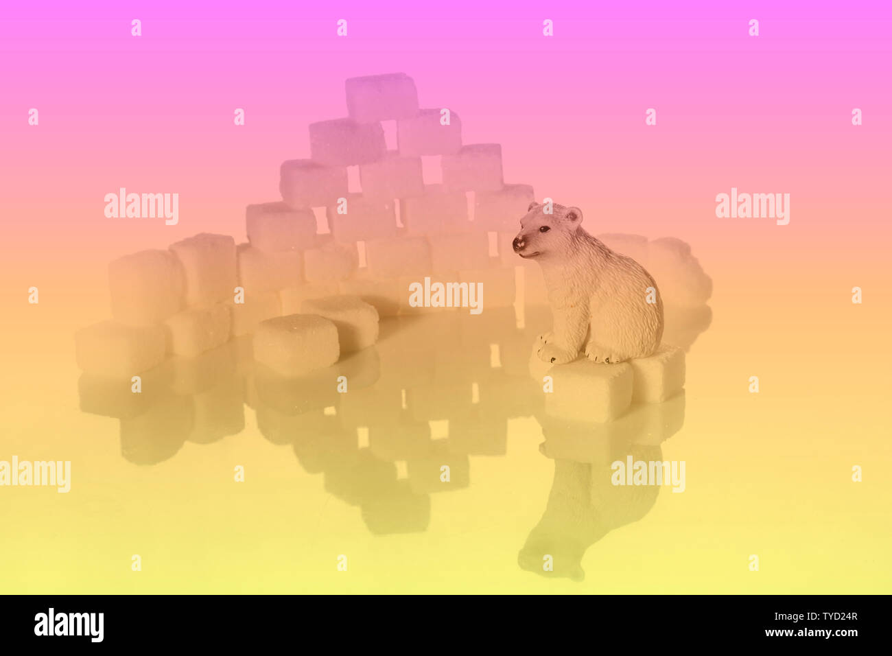 Creative shot of Sugar and Polar Bear Stock Photo - Alamy