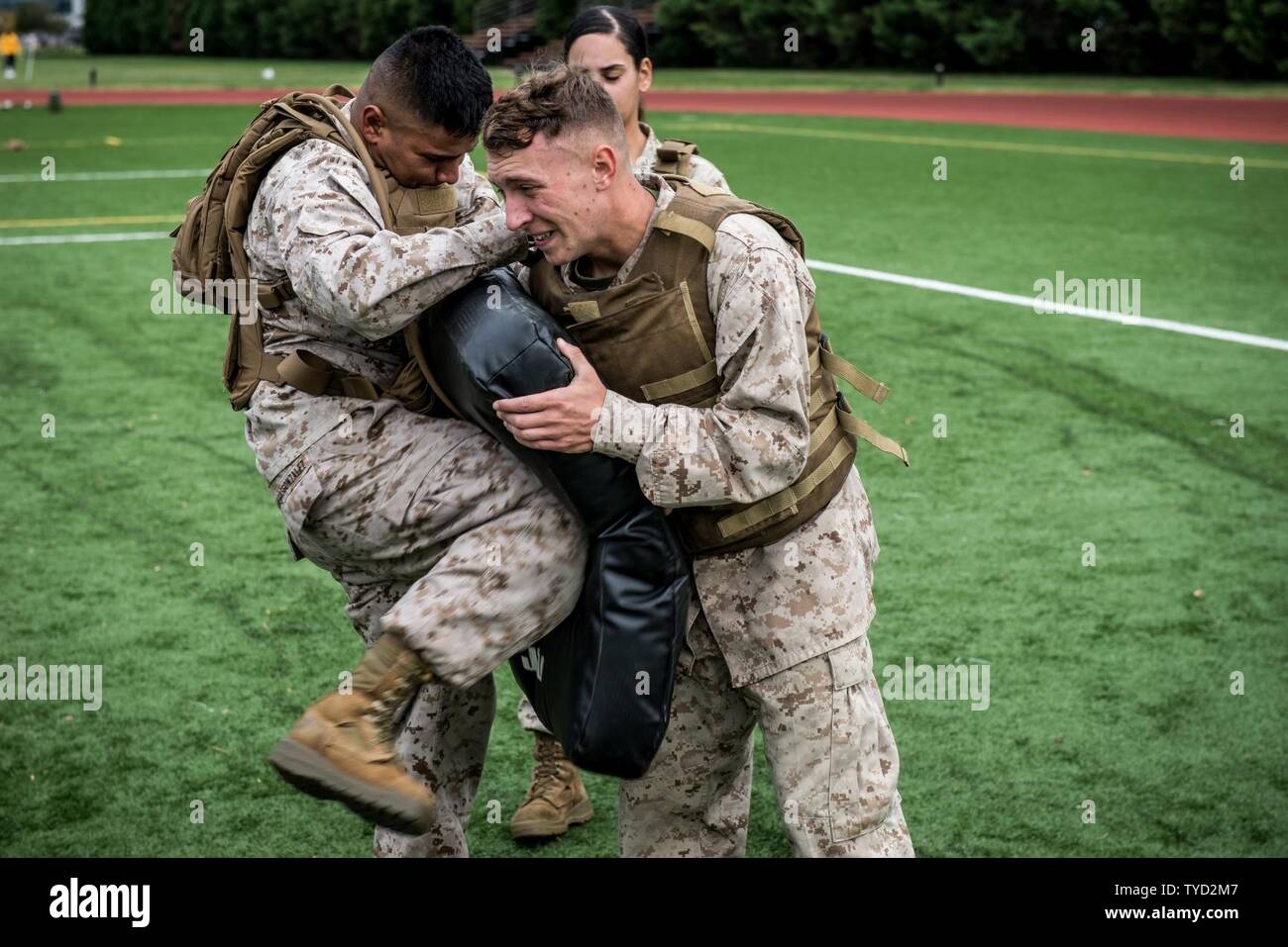 Crunching bone hi-res stock photography and images - Alamy